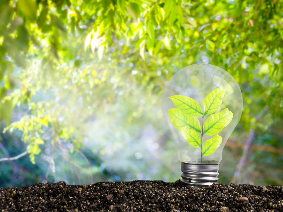 Madel Project - COMPASS360